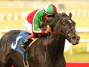Hollendorfer Has Half of Santa Maria Field - BloodHorse