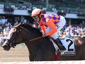 Summer Applause - Horse Profile - BloodHorse