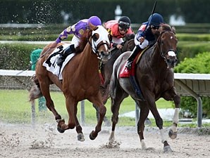 Awesome Belle - Horse Profile - BloodHorse