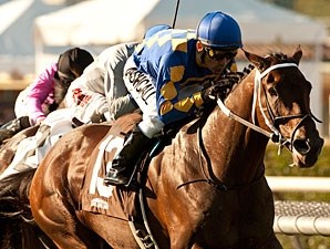 Unbridled's Note - Horse Profile - BloodHorse