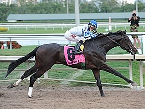 Upstart - Horse Profile - BloodHorse