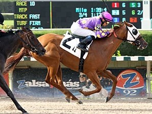 Awesome Belle - Horse Profile - BloodHorse