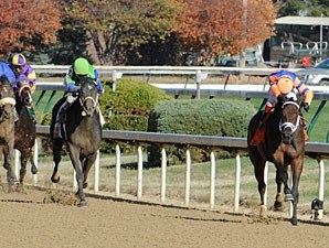 Uncle Mo - Horse Profile - BloodHorse