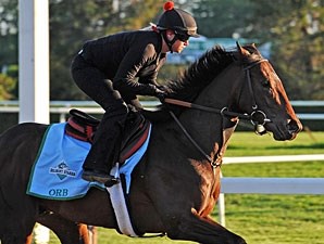 Orb - Horse Profile - BloodHorse