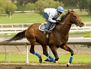 Colonel John - Horse Profile - BloodHorse