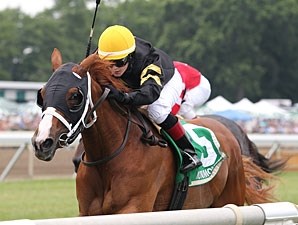 Starstruck (IRE) - Horse Profile - BloodHorse