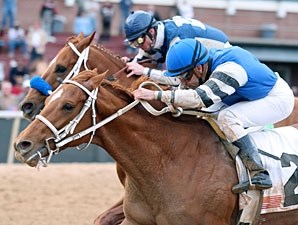 Junebugred - Horse Profile - BloodHorse