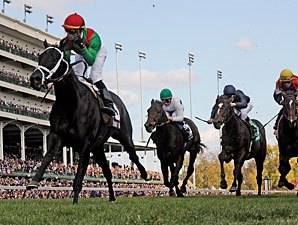 Team Valor Sends All Horses to Trainer Motion - BloodHorse