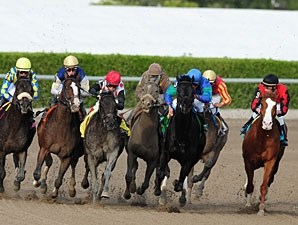 Jackson Bend - Horse Profile - BloodHorse