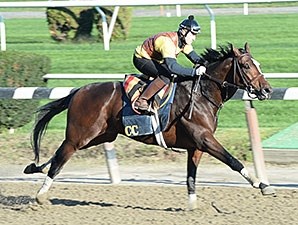 Tonalist - Horse Profile - BloodHorse