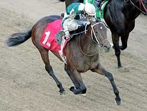 Lantana Mob - Horse Profile - BloodHorse