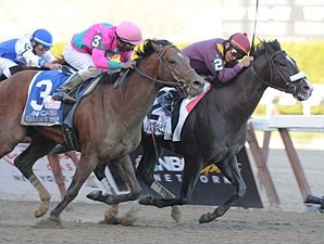 Jackson Bend - Horse Profile - BloodHorse
