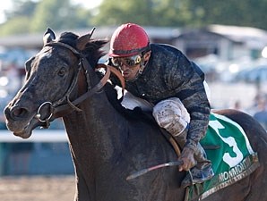Gone Astray - Horse Profile - BloodHorse