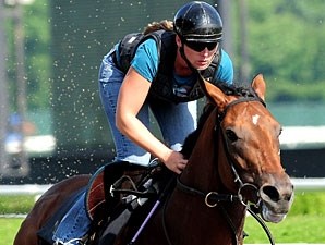 Big Brown - Horse Profile - BloodHorse