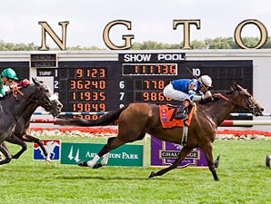 Dynaforce - Horse Profile - BloodHorse