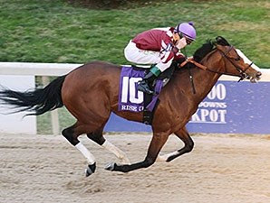 Rise Up - Horse Profile - BloodHorse