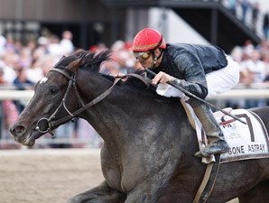 Gone Astray - Horse Profile - BloodHorse