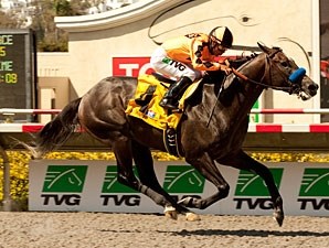 The Factor - Horse Profile - BloodHorse