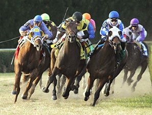 King Congie - Horse Profile - BloodHorse