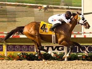 Lewis Michael - Horse Profile - BloodHorse