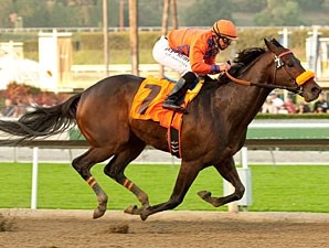 Uh Oh Bango - Horse Profile - BloodHorse