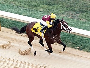 Golden Lad - Horse Profile - BloodHorse
