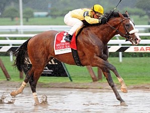 Union Rags - Horse Profile - BloodHorse