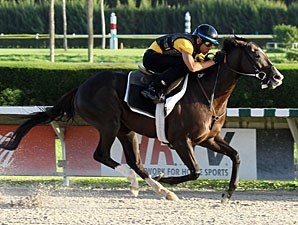 Jackson Bend - Horse Profile - BloodHorse