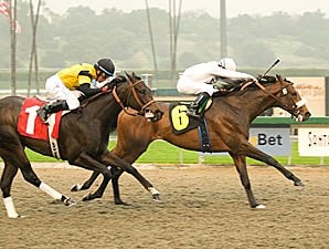 Colonel John - Horse Profile - BloodHorse