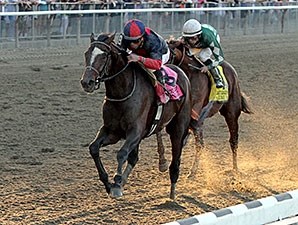 Tonalist - Horse Profile - BloodHorse