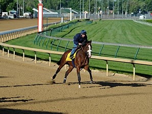 Union Rags - Horse Profile - BloodHorse