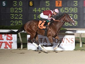 Rise Up - Horse Profile - BloodHorse