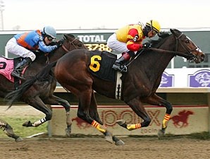 Arlo - Horse Profile - BloodHorse