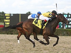 King Congie - Horse Profile - BloodHorse