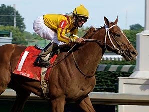 Curlin To Stand at Lane's End in 2009 - BloodHorse
