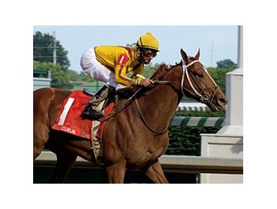Curlin To Stand at Lane's End in 2009 - BloodHorse