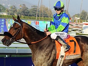 Include Me Out - Horse Profile - BloodHorse