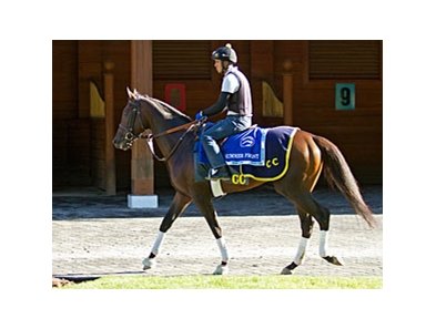 Majesticperfection Heads Airdrie Stud Roster - BloodHorse