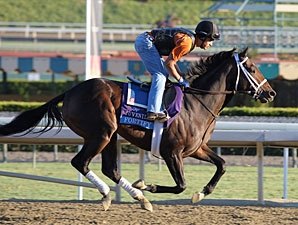 Fortify Will Try to Stop the 'Rain' at Meydan - BloodHorse