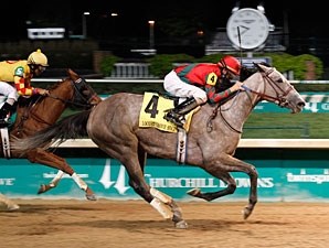 Flashy American - Horse Profile - BloodHorse