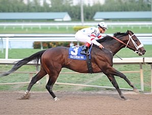 Trickmeister - Horse Profile - BloodHorse