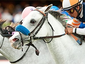 Egg Drop - Horse Profile - BloodHorse