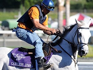Careless Jewel - Horse Profile - BloodHorse