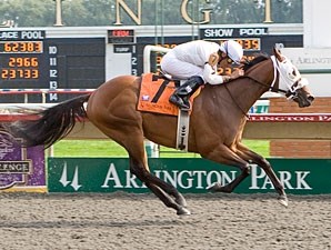 Dixie Band - Horse Profile - BloodHorse