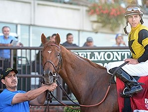 Ring Weekend - Horse Profile - BloodHorse