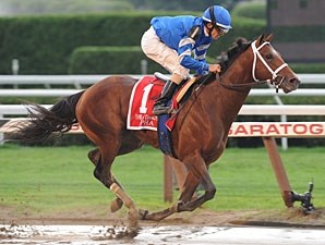 Alpha - Horse Profile - BloodHorse