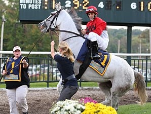 Careless Jewel - Horse Profile - BloodHorse