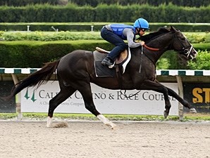 Jackson Bend - Horse Profile - BloodHorse