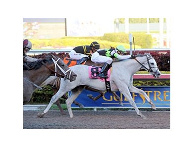 Hutcheson: Honorable Dillon Prevails - BloodHorse