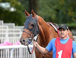 Ring Weekend - Horse Profile - BloodHorse